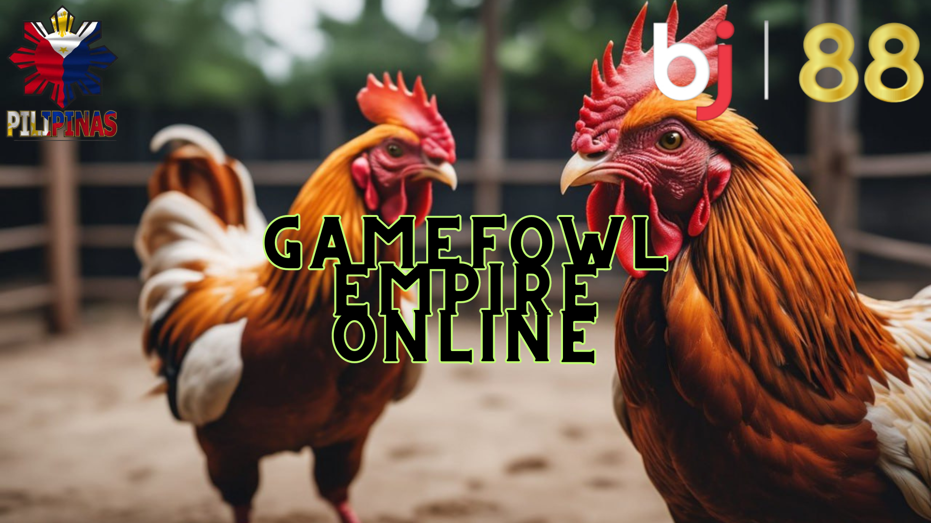 Exploring the Digital Cockpit: Online Sabong Platforms Shaping April ...